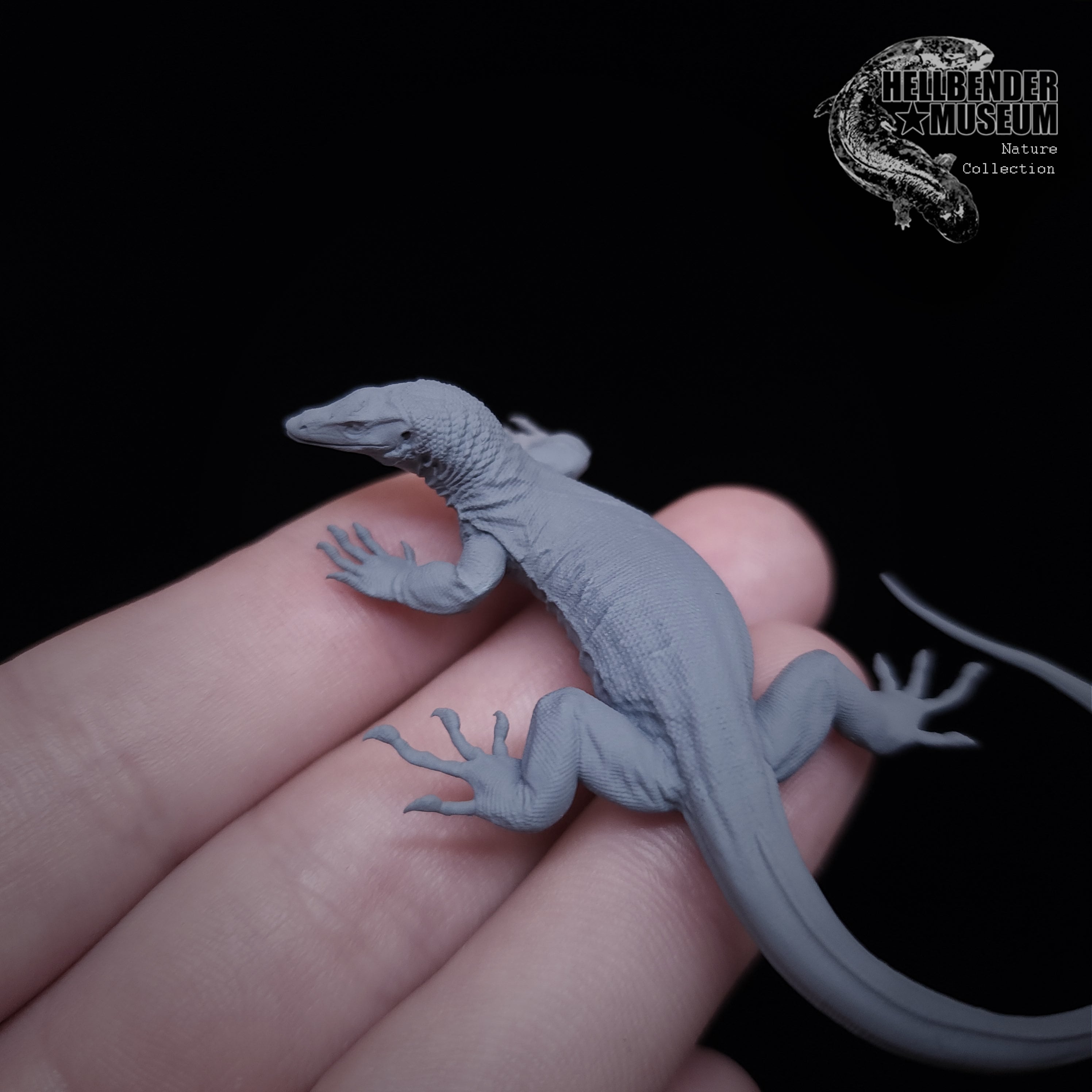 Asian Water Monitor - 75mm - Hellbender Museum - 3D Print - El Greco ...