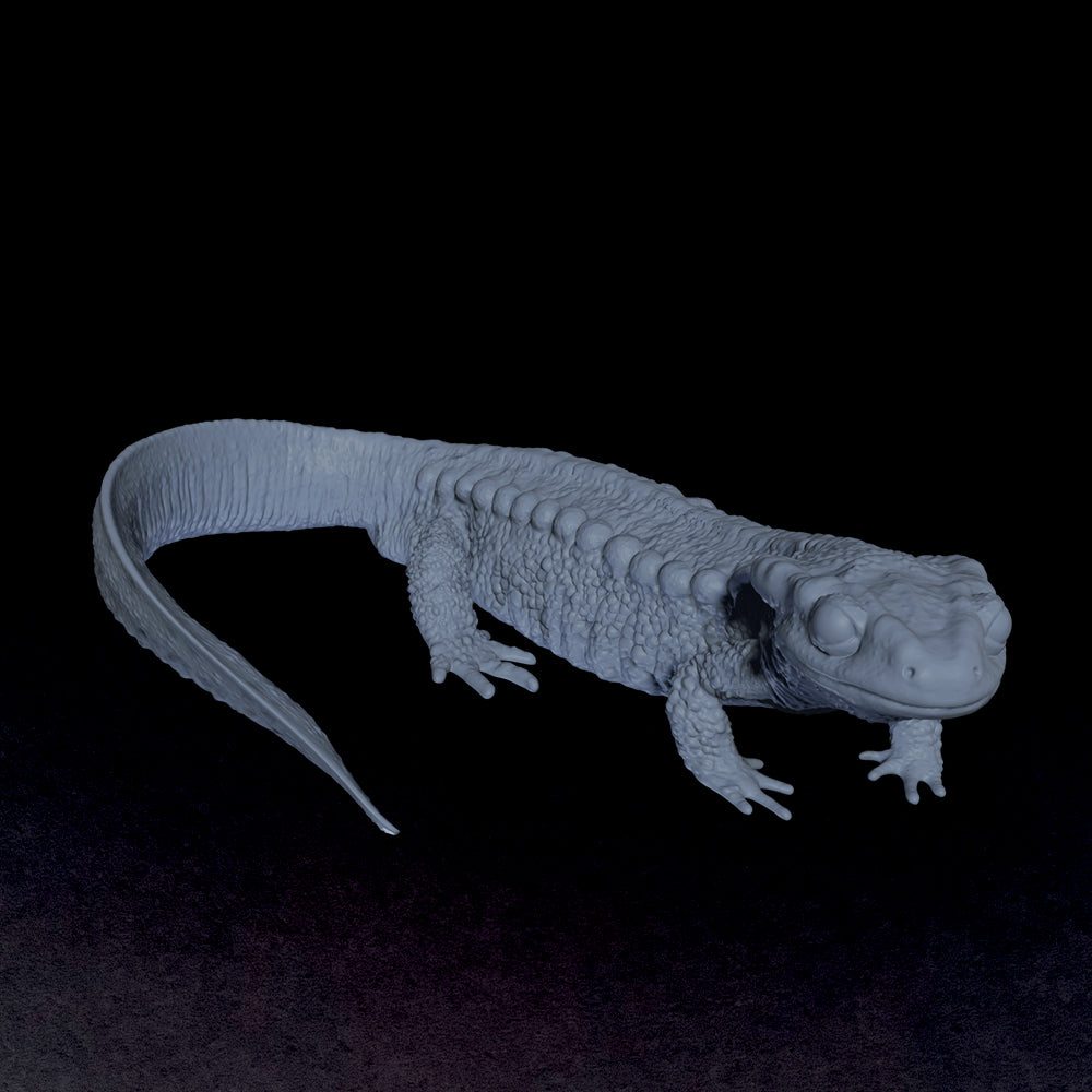 Emperor Newt - Hellbender Museum - 3D Print - El Greco Miniatures – El ...
