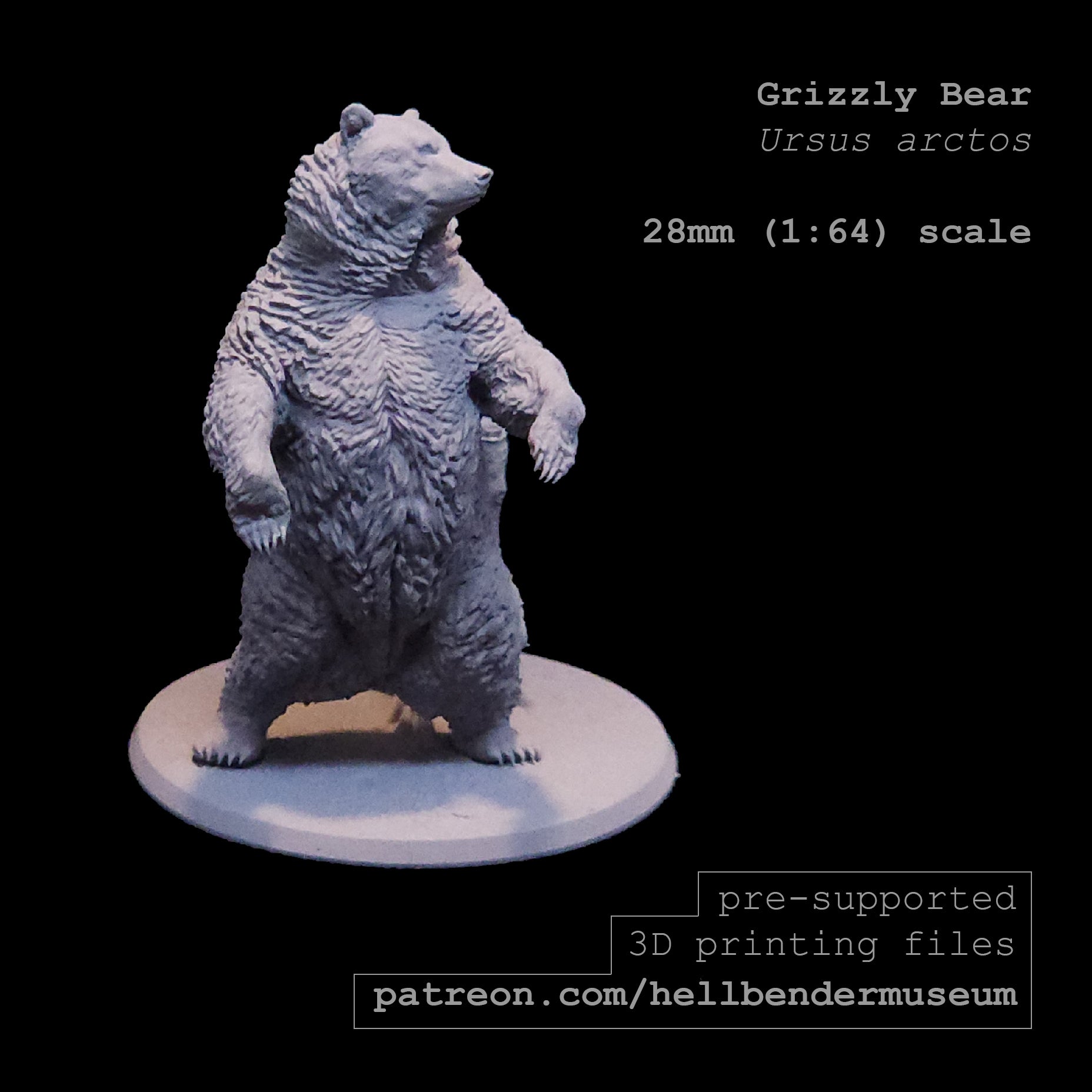 Grizzly Bear - 28mm - Hellbender Museum - 3D Print - El Greco ...